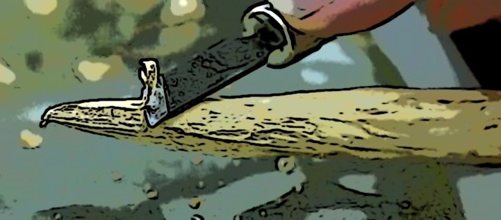 Sharp Sticks and Apples